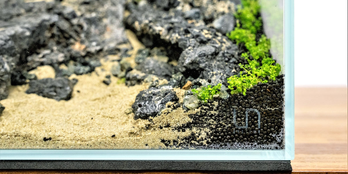 5 Tips on Substrate for a Planted Tank — Buce Plant
