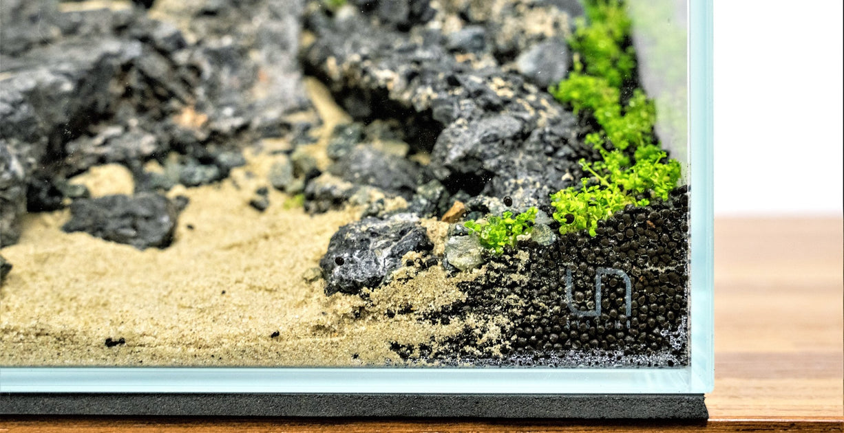 5 Tips on Substrate for a Planted Tank — Buce Plant