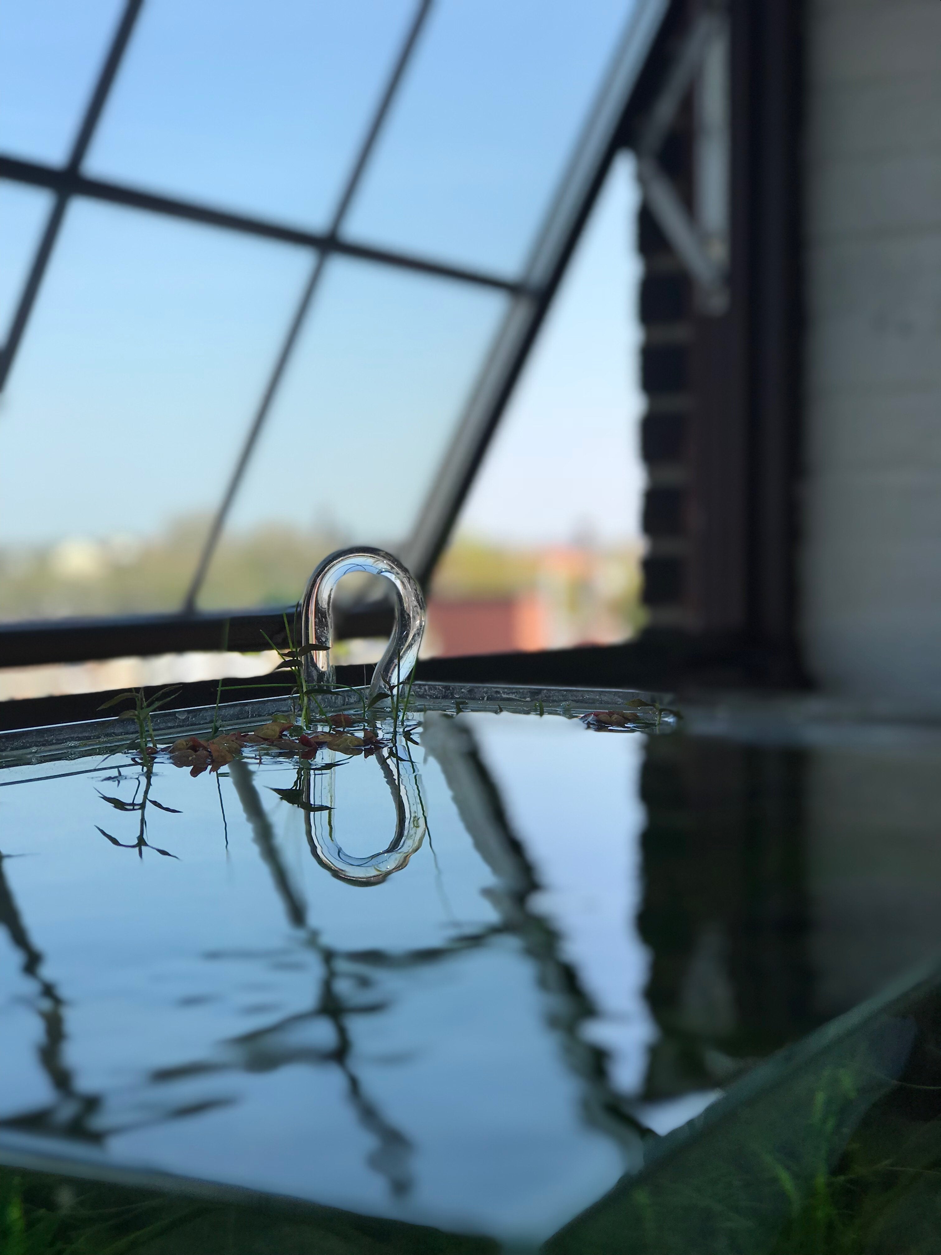 Choosing the Right Tank for your Planted Aquarium — Buce Plant