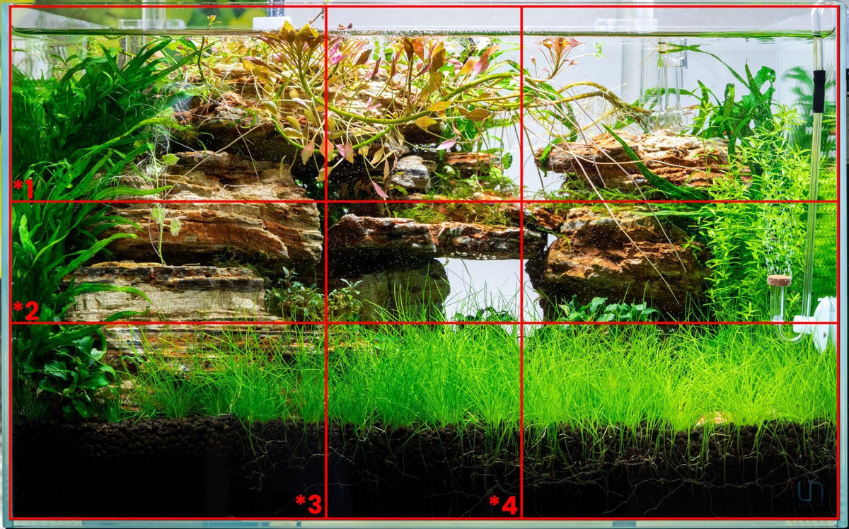 3 Composition Guides for Creating a Beautiful Aquascape — Buce Plant