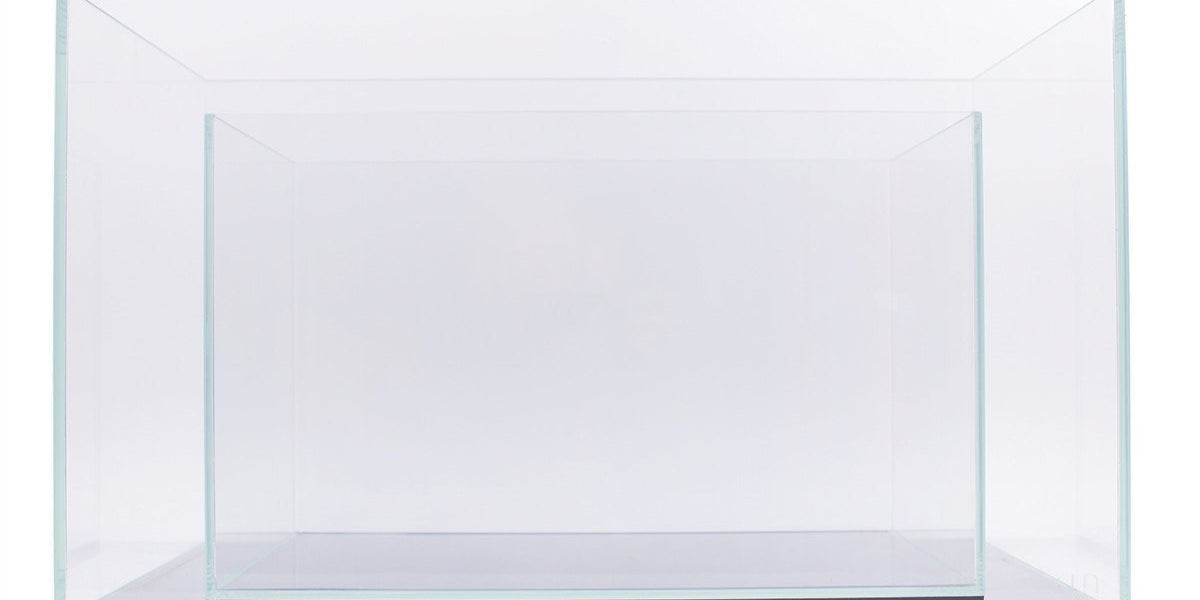 Rimless Tanks Available — Buce Plant