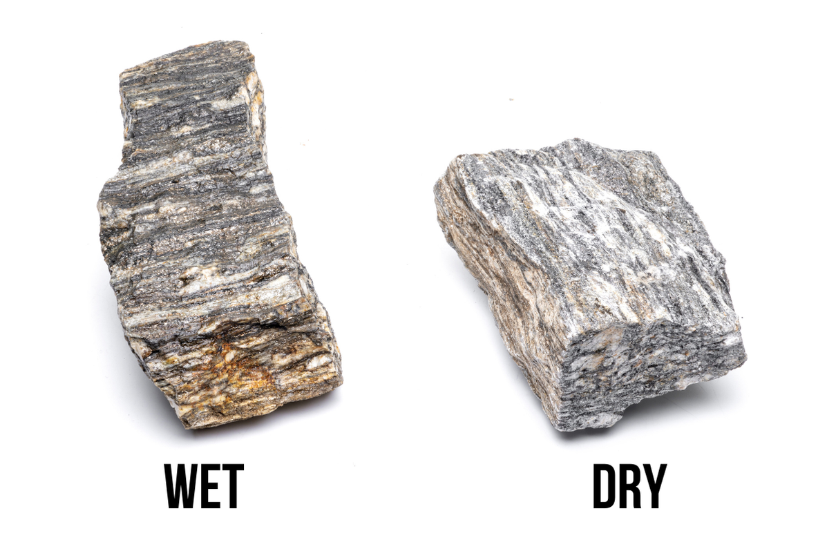 Ancient Petrified Stone Aquarium Hardscape — Buce Plant