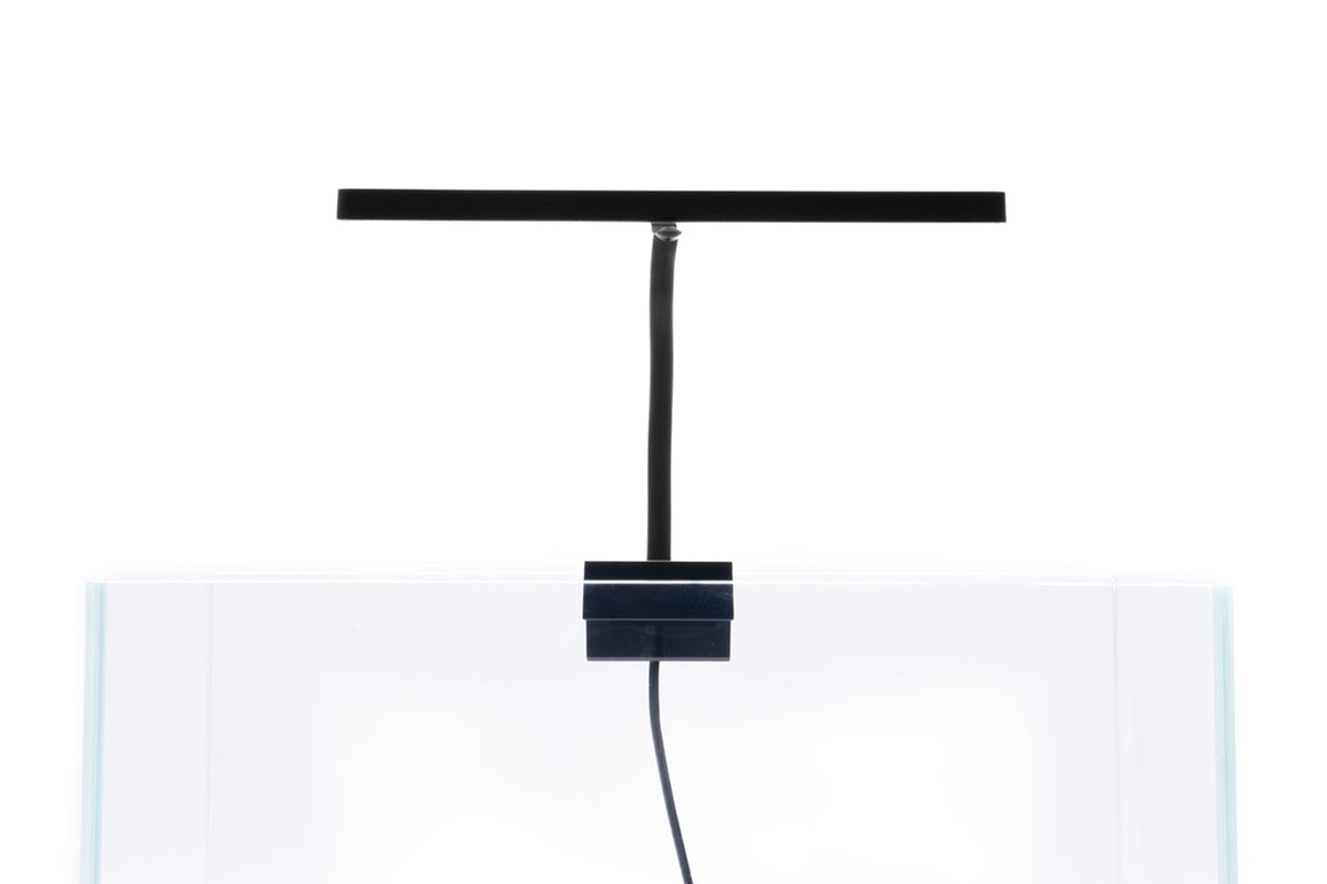 Aqua Worx EOS LED Aquarium Light - White — Buce Plant