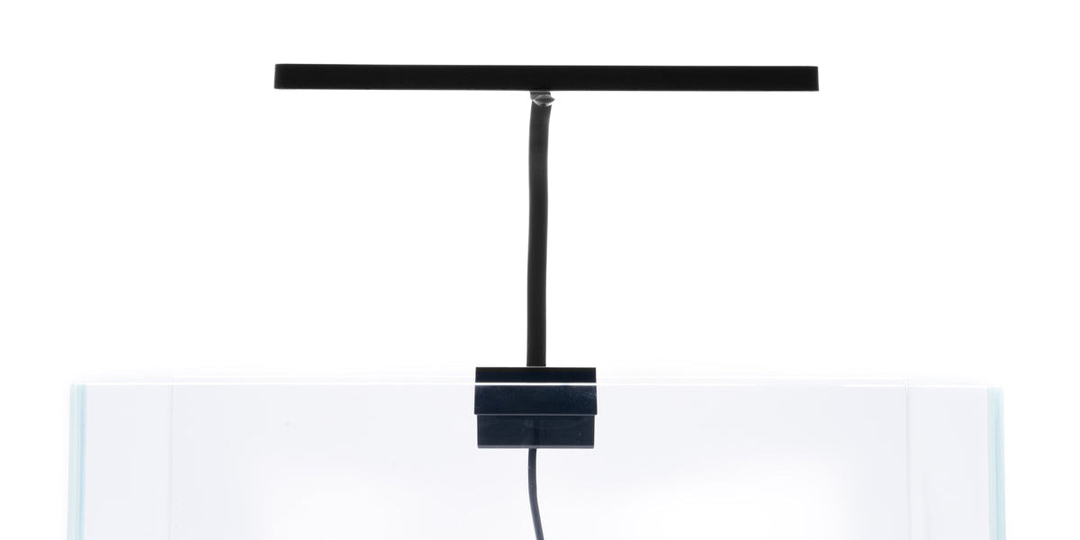 Aqua Worx EOS LED Aquarium Light - White — Buce Plant
