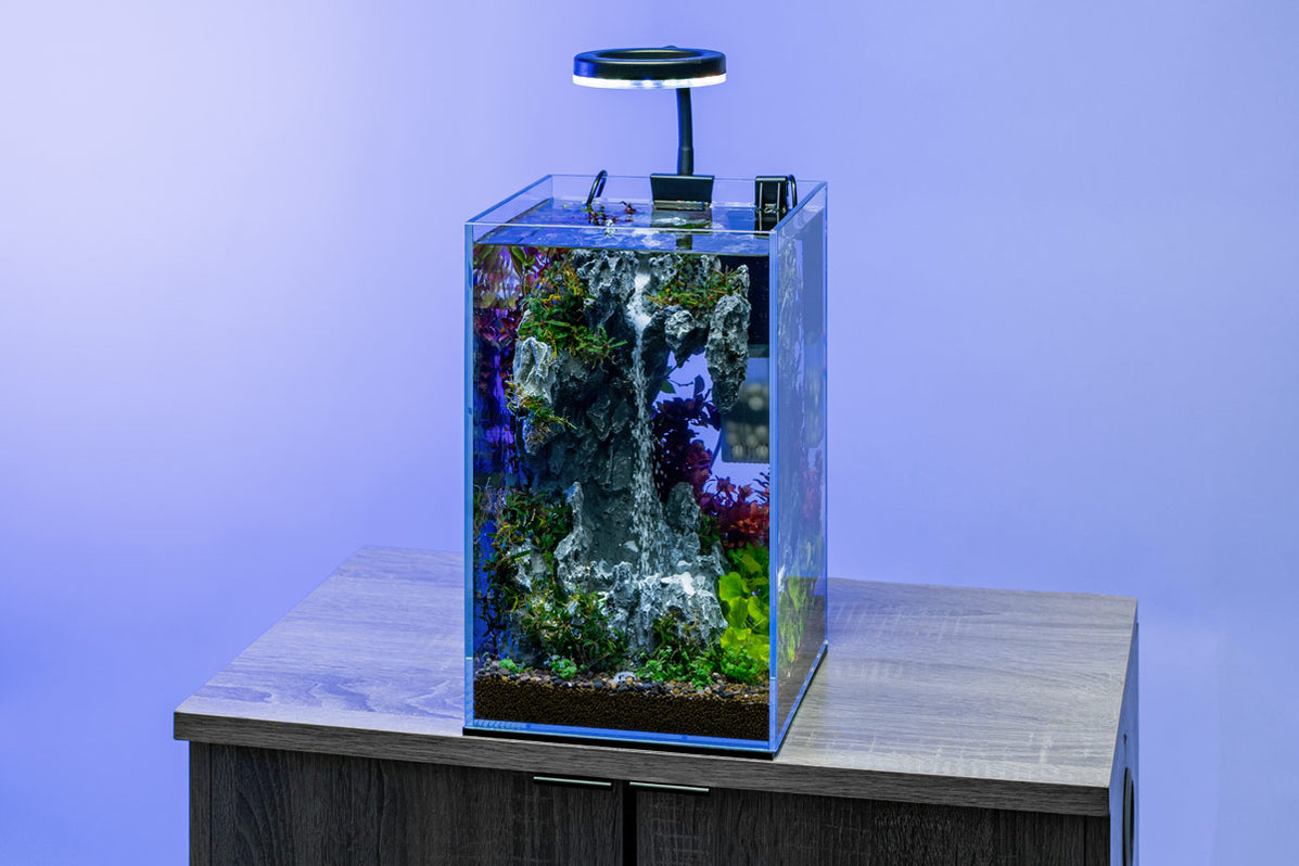 Aqua Worx Sand Waterfall Tank Kit B1 (20CM) - Buce Plant