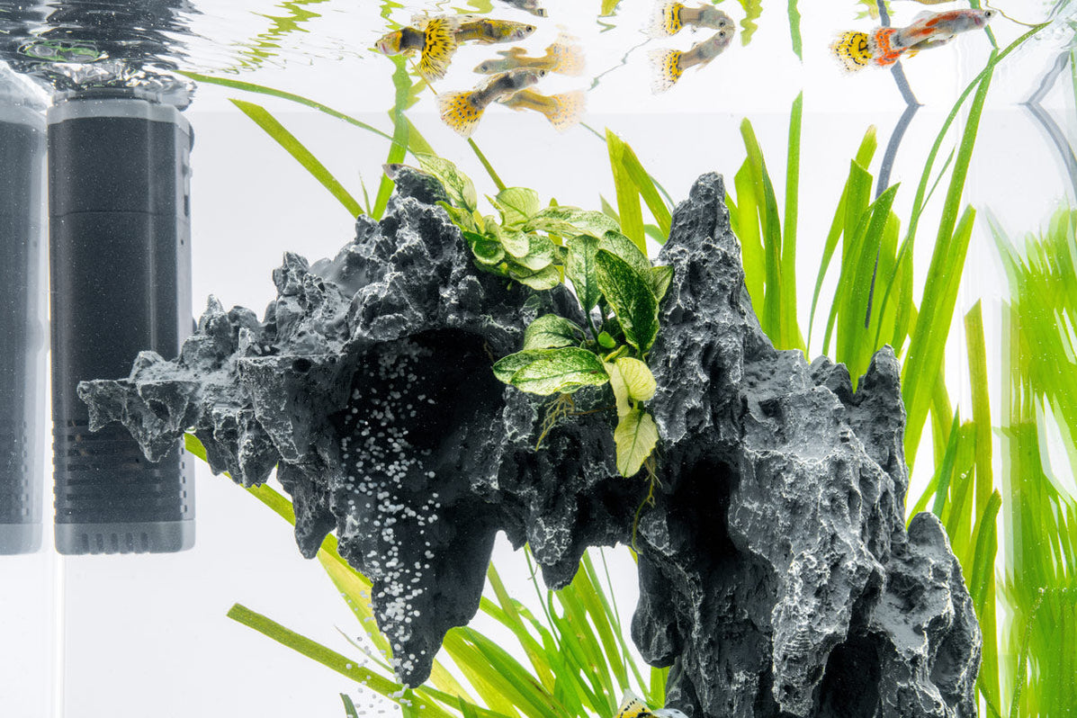 Aqua Worx Sand Waterfall Tank Kit C1 (30CM) — Buce Plant