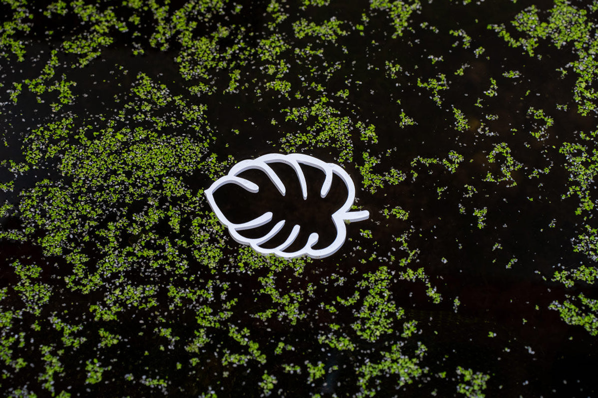 Aquarium Plant Corral and Feeding Ring - Assorted Styles — Buce Plant