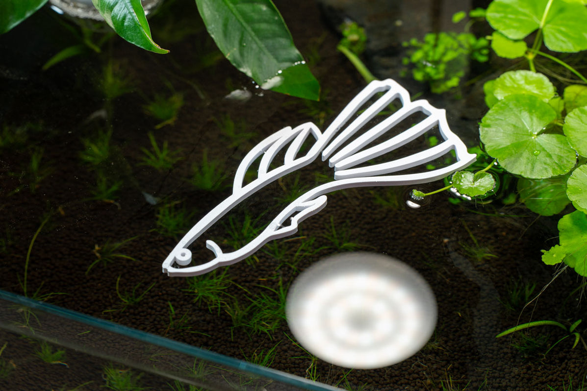 Aquarium Plant Corral and Feeding Ring - Assorted Styles — Buce Plant