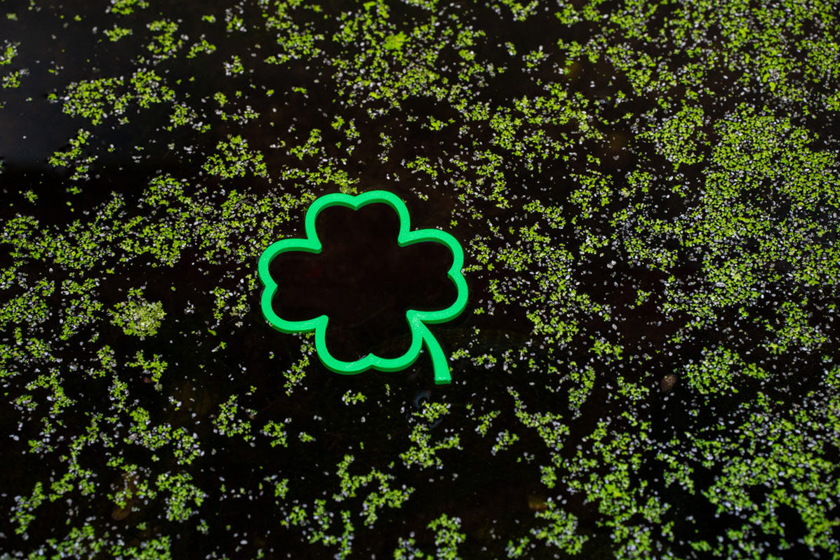 Aquarium Plant Corral and Feeding Ring - Assorted Styles — Buce Plant