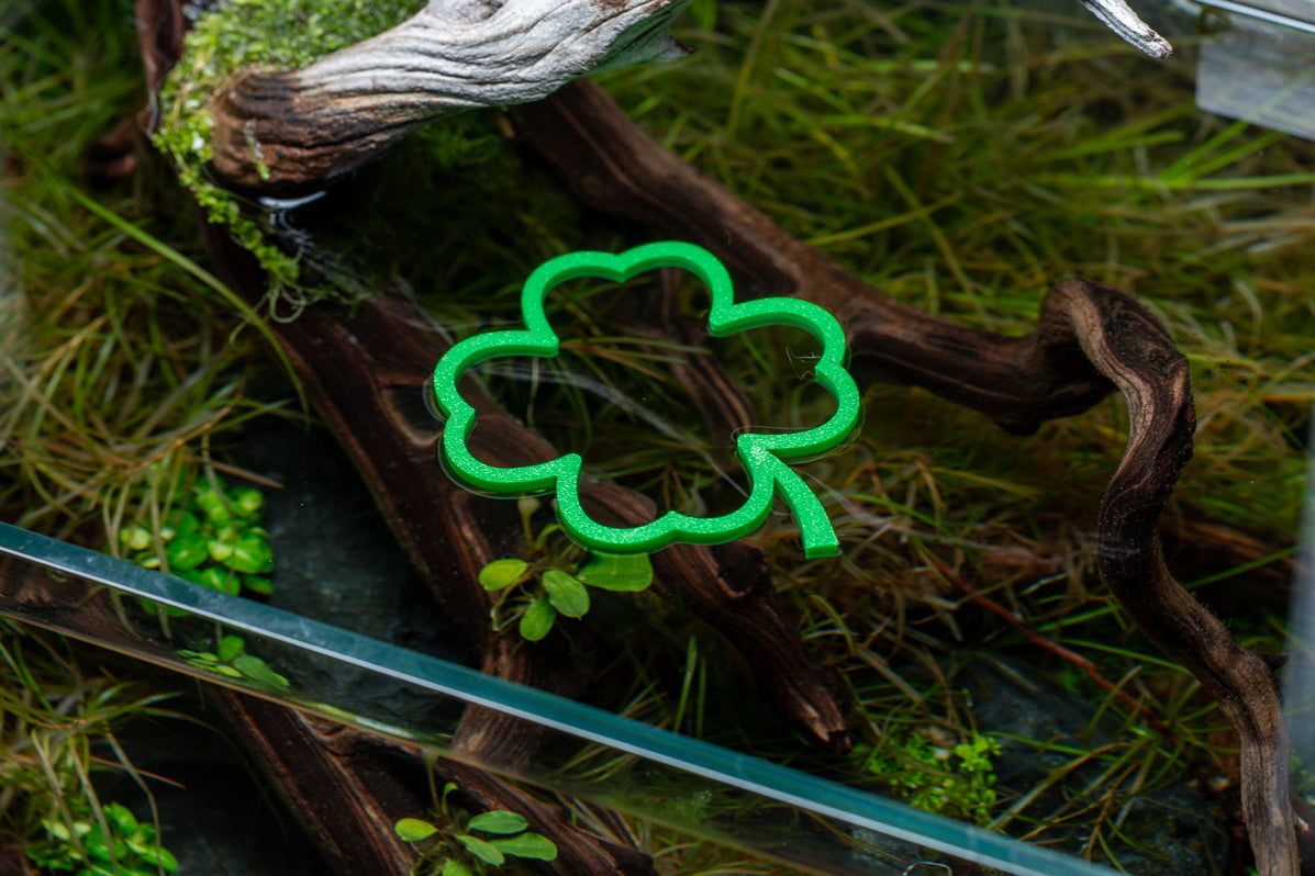 Aquarium Plant Corral and Feeding Ring - Assorted Styles — Buce Plant