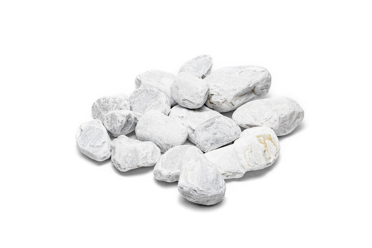 Ashen Stone — Buce Plant