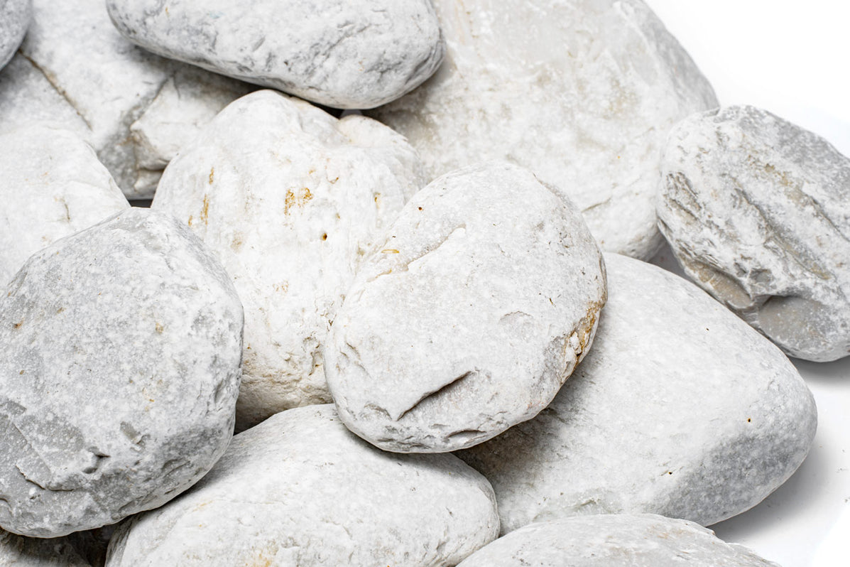 Ashen Stone — Buce Plant