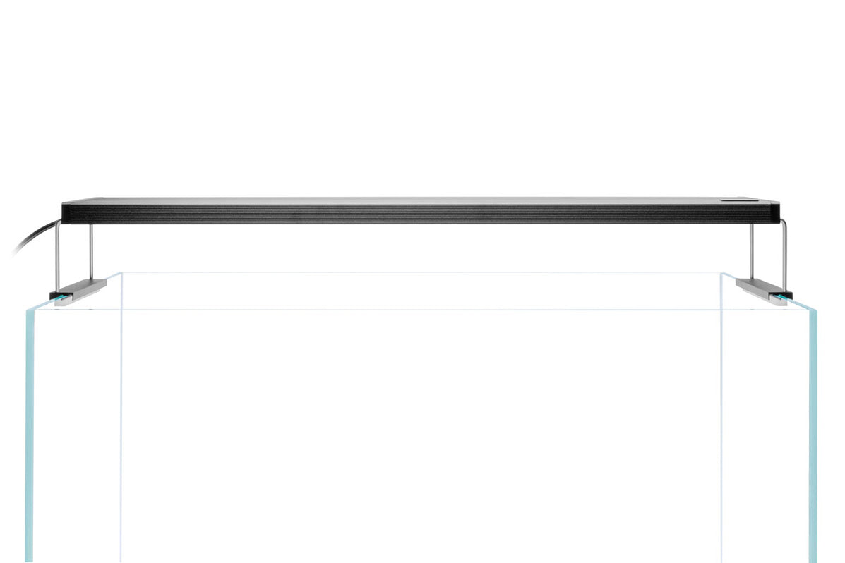 Chihiros WRGB II LED Light — Buce Plant