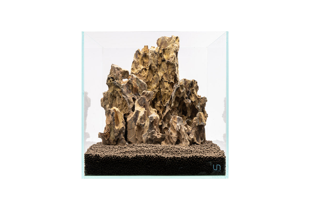 WYSIWYG Stones — Buce Plant