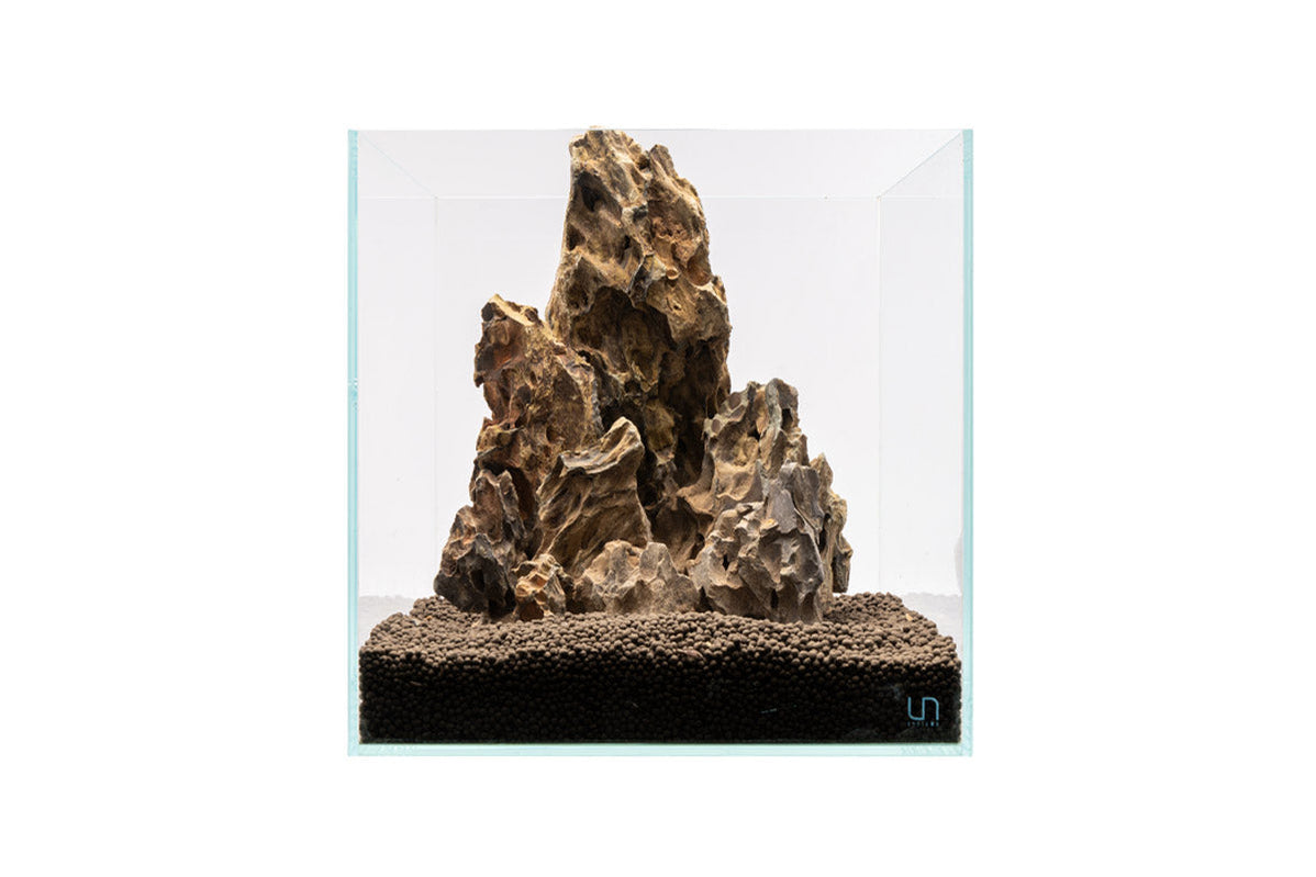 WYSIWYG Stones — Buce Plant