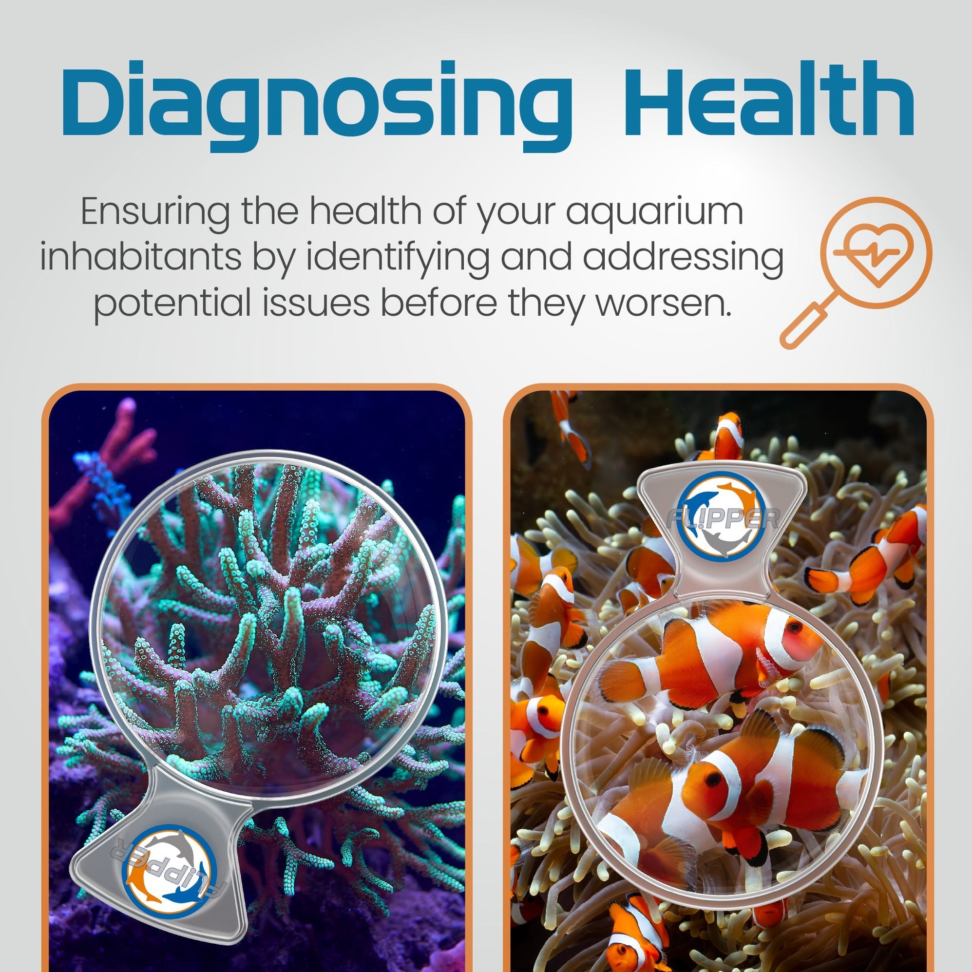 Flipper - DeepSee Viewer - Max 5" - Clear — Buce Plant