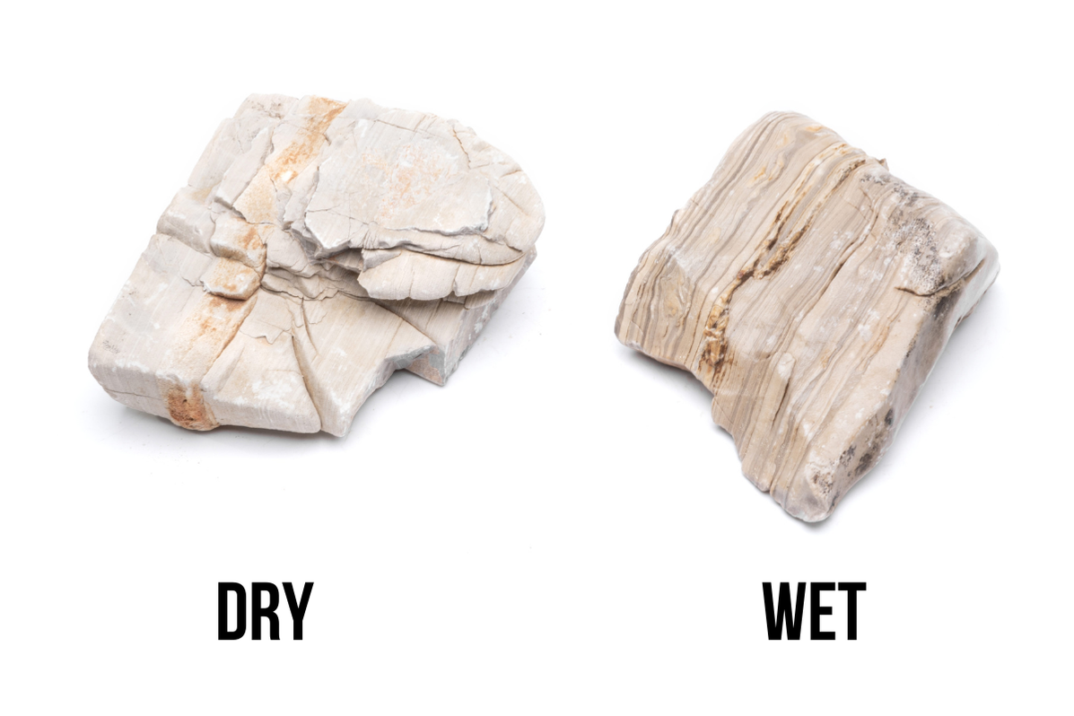 Gobi Desert Stone Aquarium Hardscape — Buce Plant