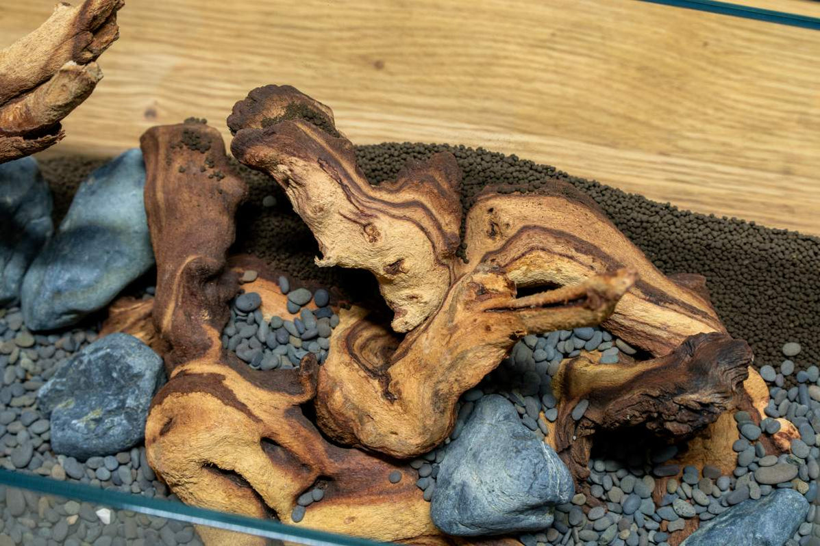 Hakkai Stone Aquarium Hardscape — Buce Plant