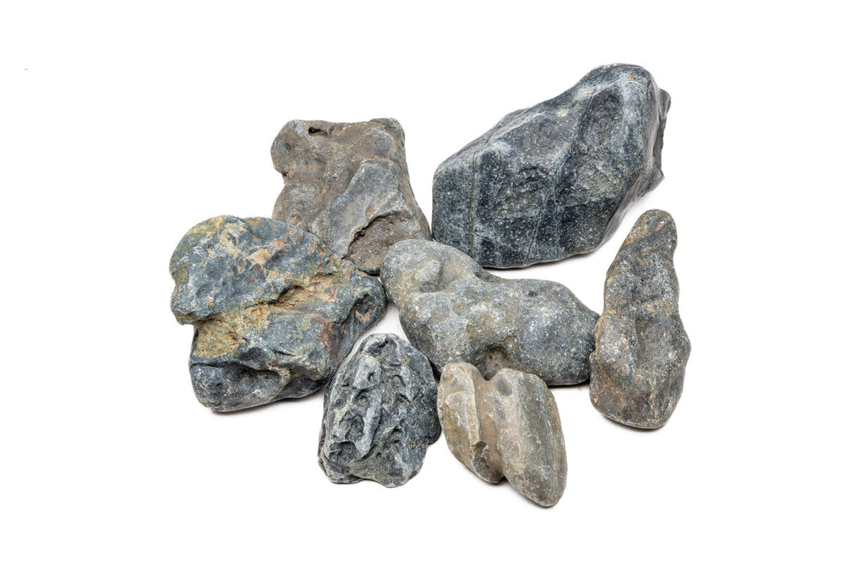 Hakkai Stone Aquarium Hardscape — Buce Plant