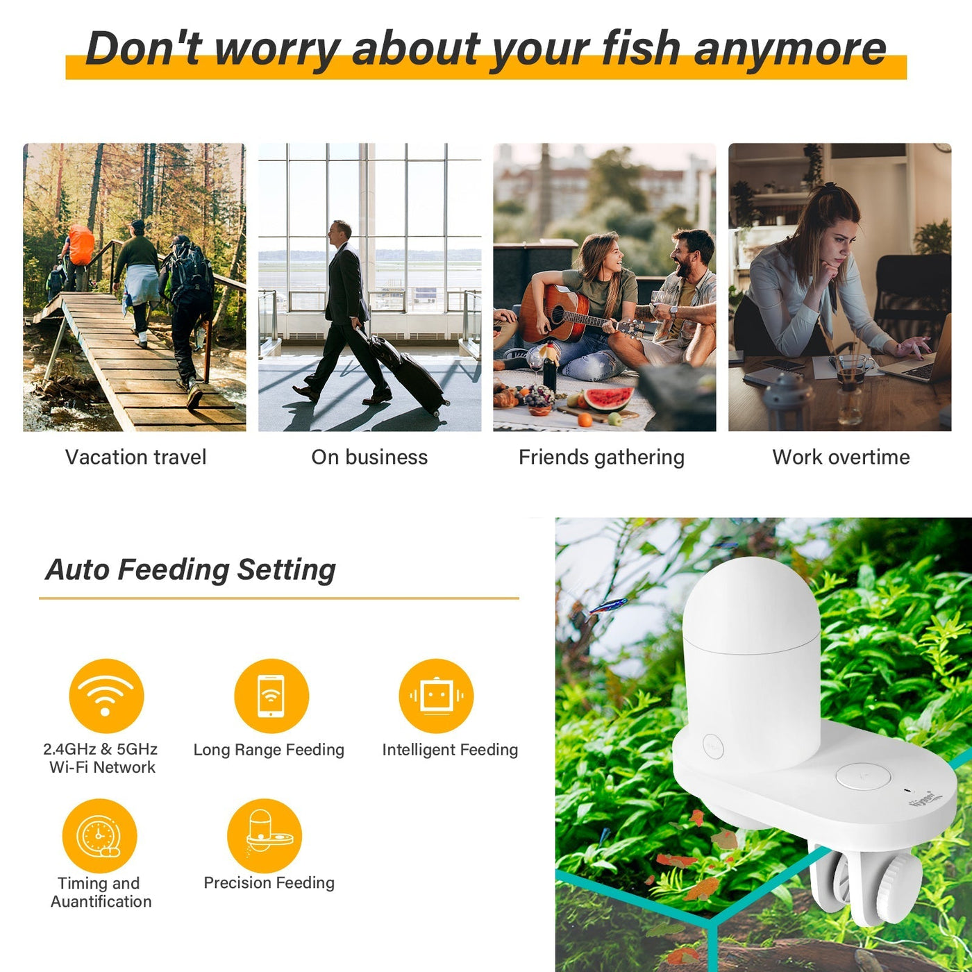 Hygger - Automatic Feeder — Buce Plant