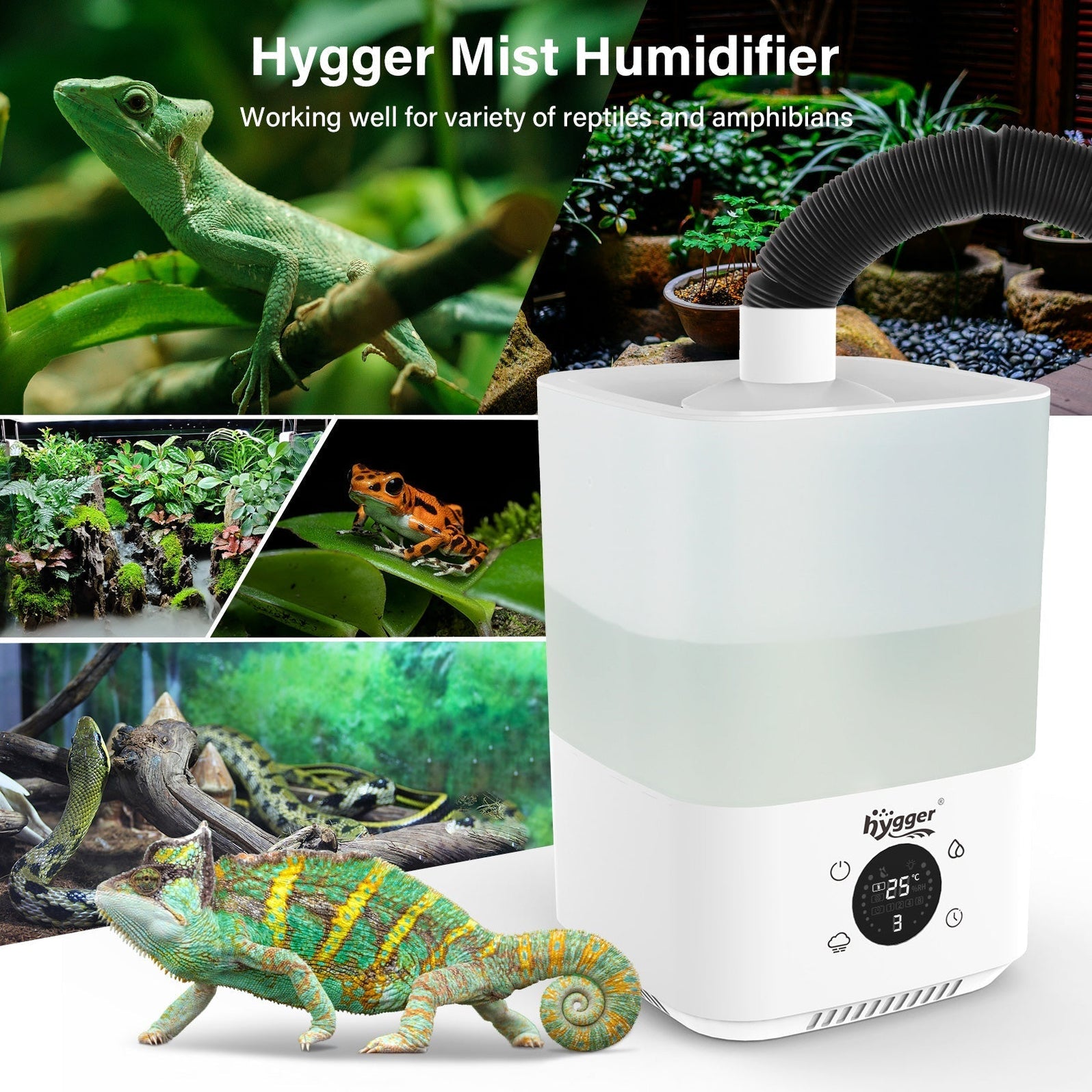 Hygger - Humidifier with Hygrometer & Thermometer — Buce Plant