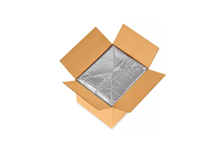 Insulated Packaging Liner (Add-on) — Buce Plant