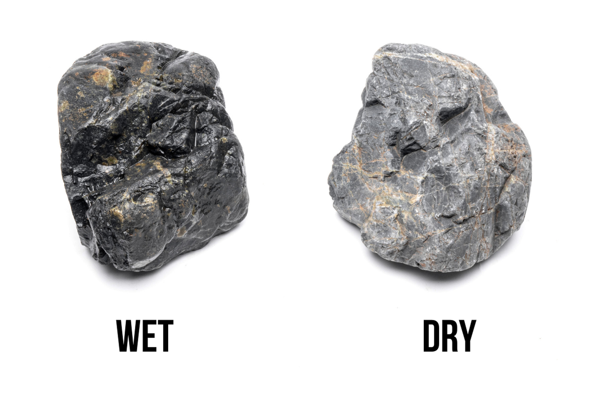 Marsh Stone Aquascaping Stone - Shop Planted Tank Hardscape Buce Plant