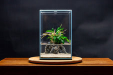 UNS 20TM - 3.2 Gallon Prism Rimless Tank — Buce Plant