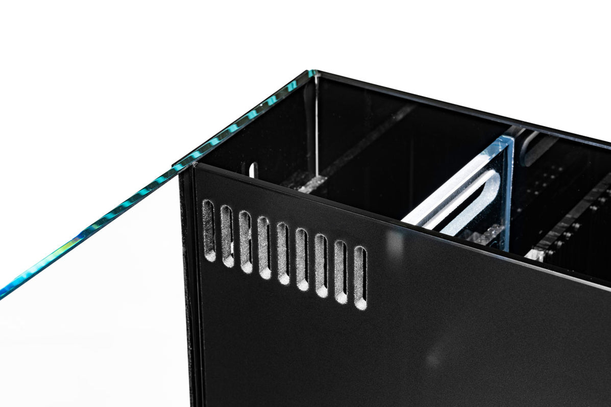 UNS 40A - 16 Gallon Dual AIO Rimless Aquarium — Buce Plant