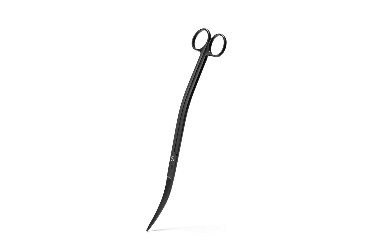 UNS Black Wave Scissors — Buce Plant