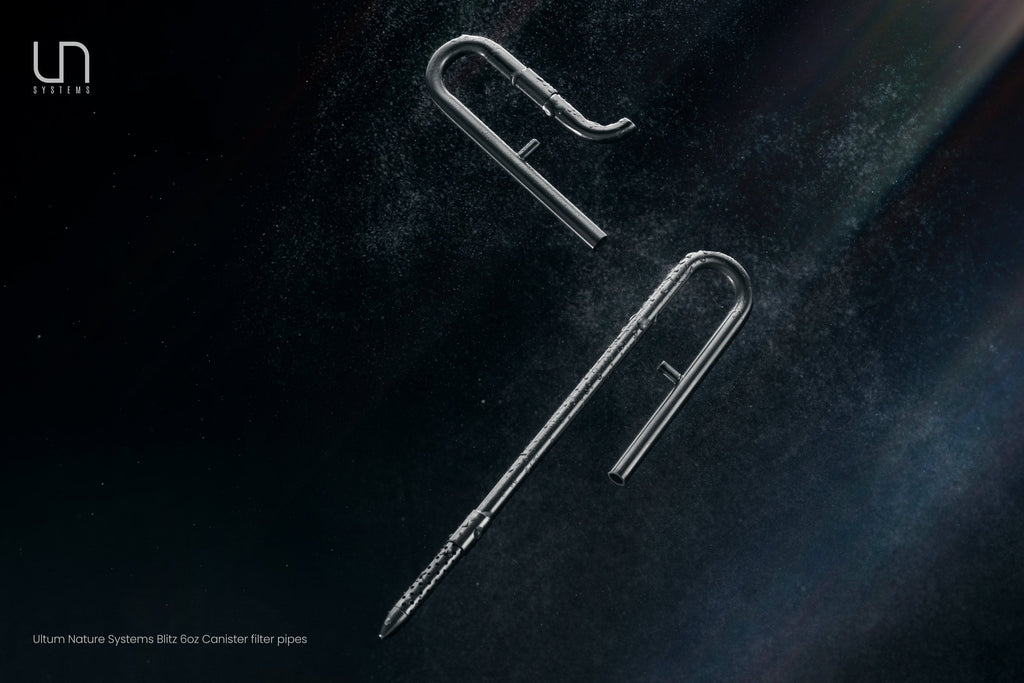 Filtration for Planted Aquariums - Buce Plant