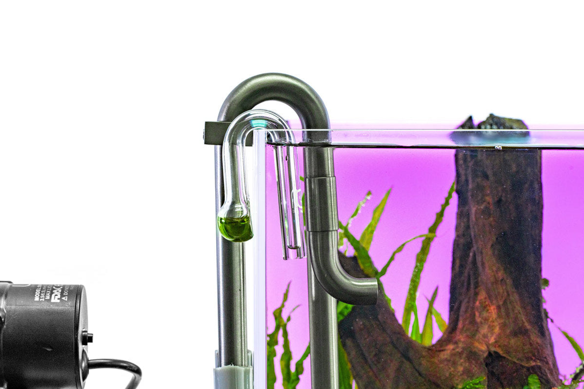 UNS Drop Checker — Buce Plant