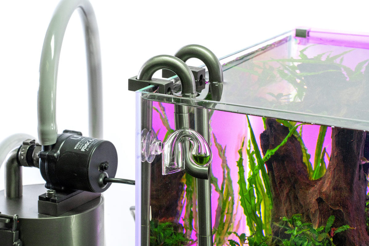 UNS Drop Checker — Buce Plant