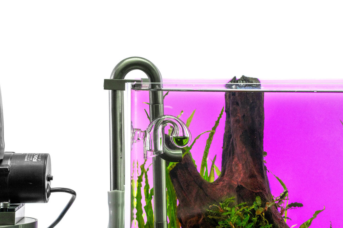 UNS Drop Checker — Buce Plant