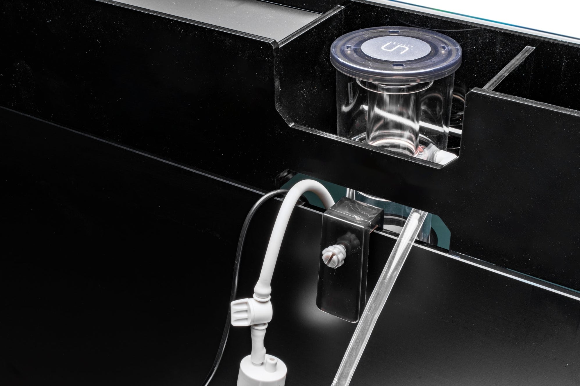 UNS Dual AIO ATO (Auto Top Off) — Buce Plant