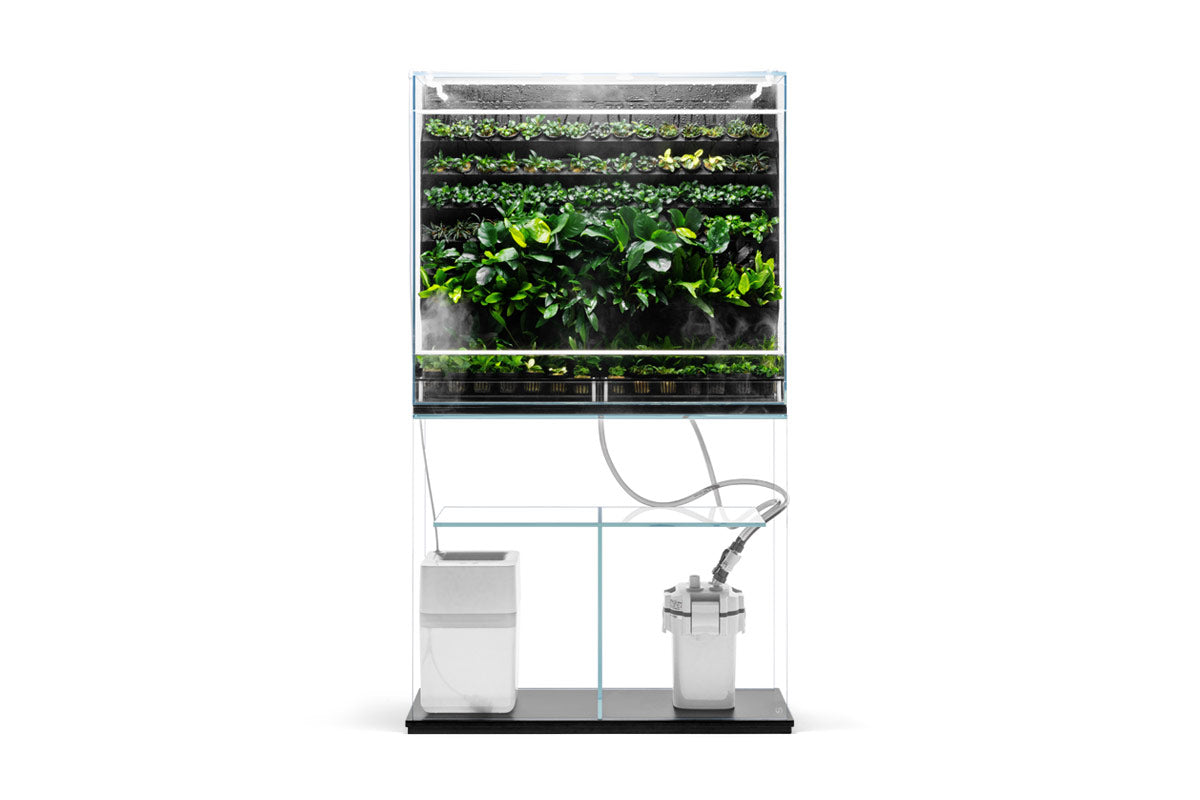 UNS Foresta Plant Holding System - 132 — Buce Plant