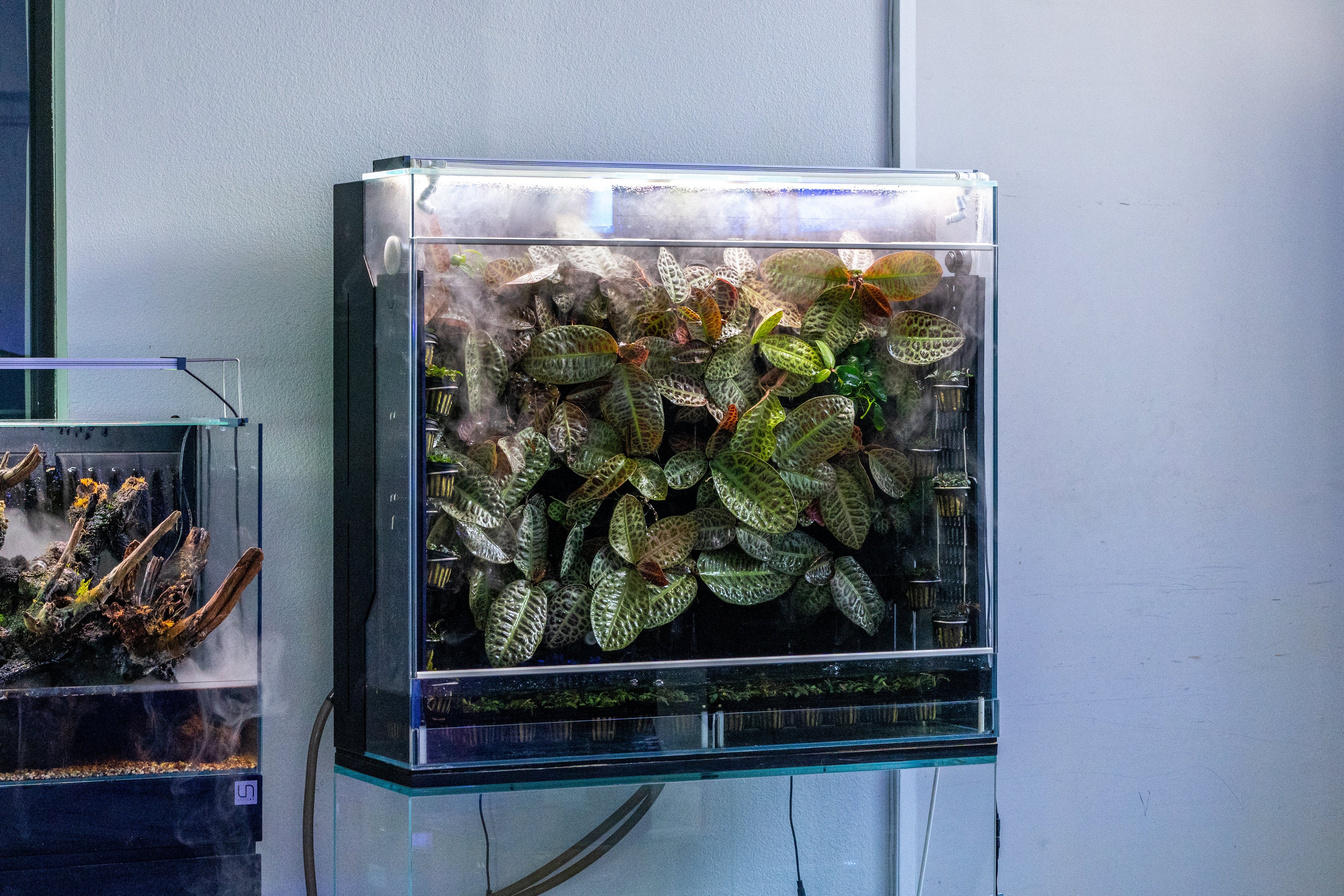 UNS Foresta Plant Holding System - 132 Pot Vertical Display — Buce Plant