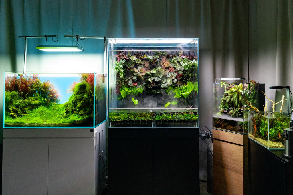 UNS Plant Holding Systems — Buce Plant