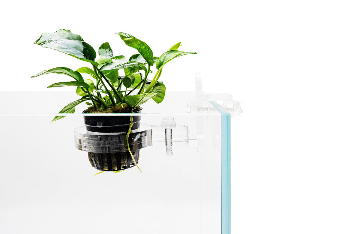 UNS Hydro Pot Holder — Buce Plant