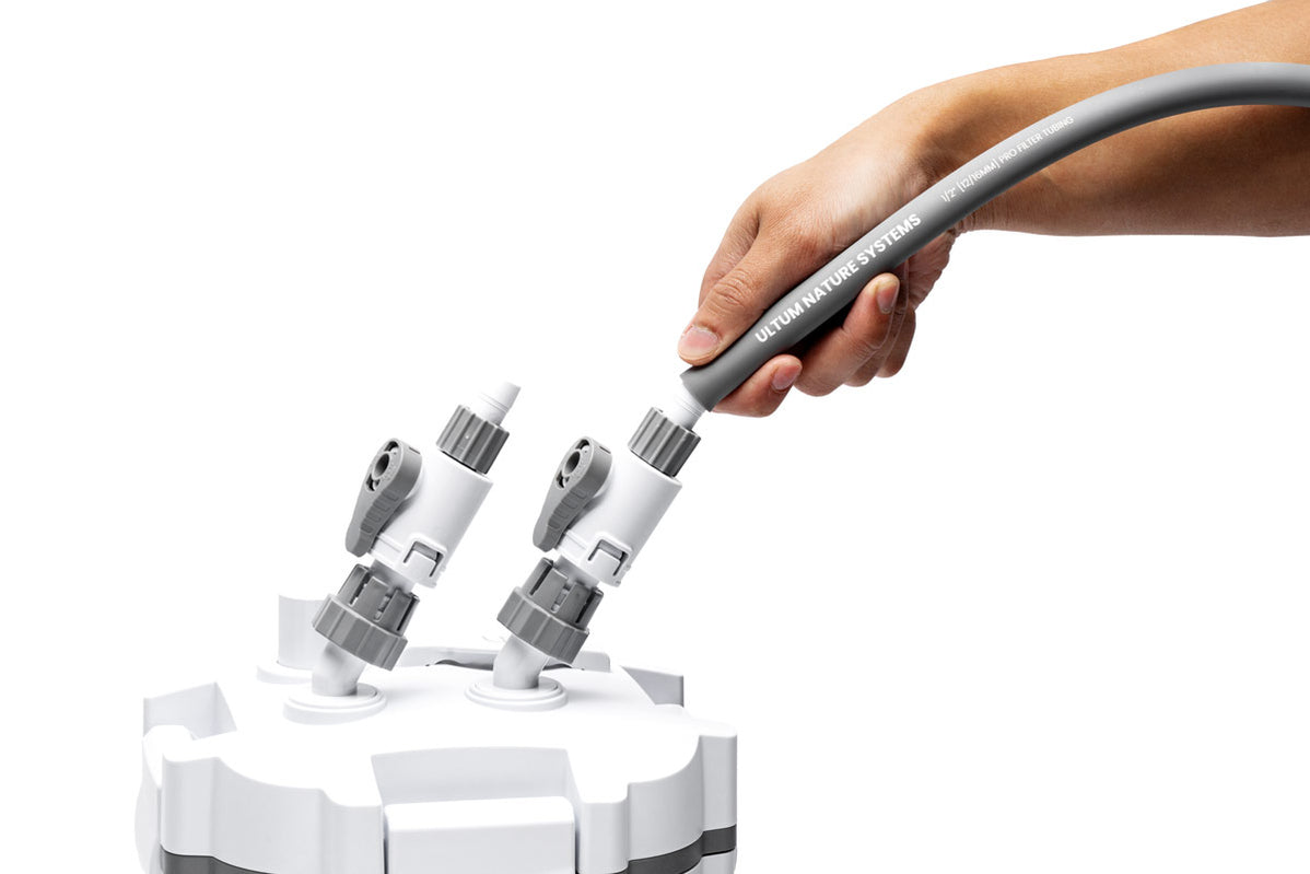 BucePlant.com - Aquascaping and Aquarium Plants Super Store — Buce Plant