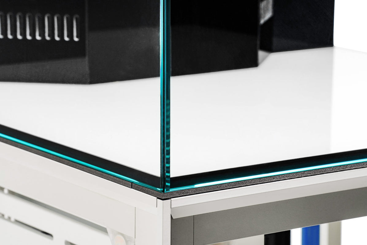 UNS Reef System - R60 — Buce Plant