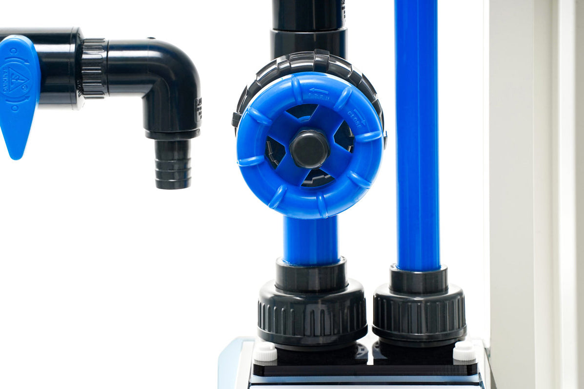 UNS Reef System - R60 — Buce Plant