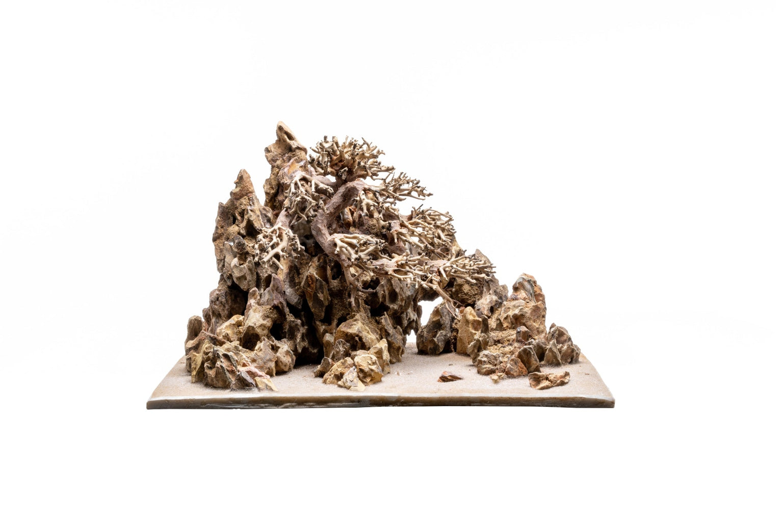 UNS Strata Pro — Buce Plant