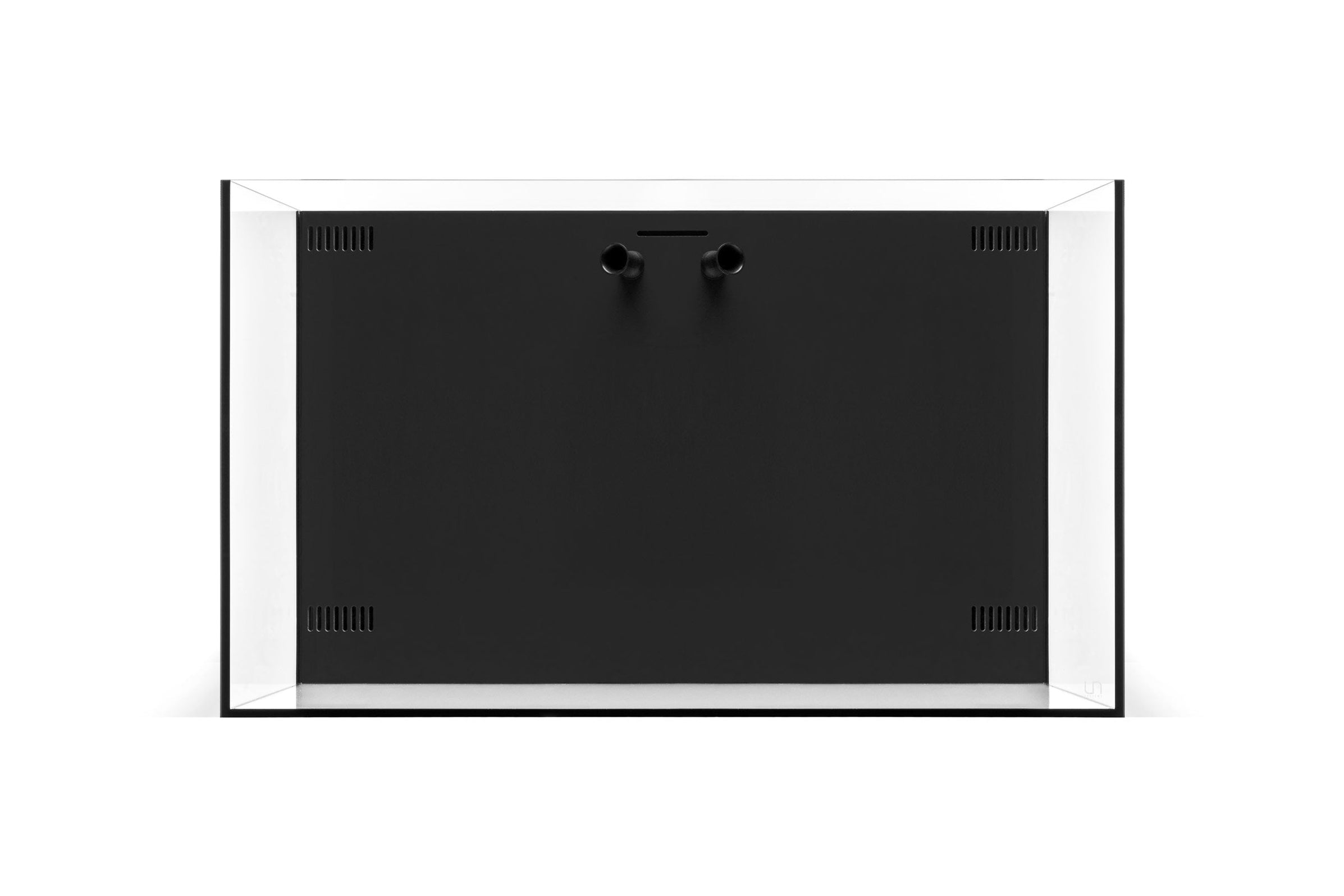 UNS Dual AIO Ultra Clear Rimless Tanks - Buce Plant