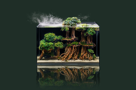 UNS Ultra Clear Tanks [DUAL AIO] — Buce Plant