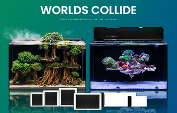 UNS Ultra Clear Tanks [DUAL AIO] — Buce Plant