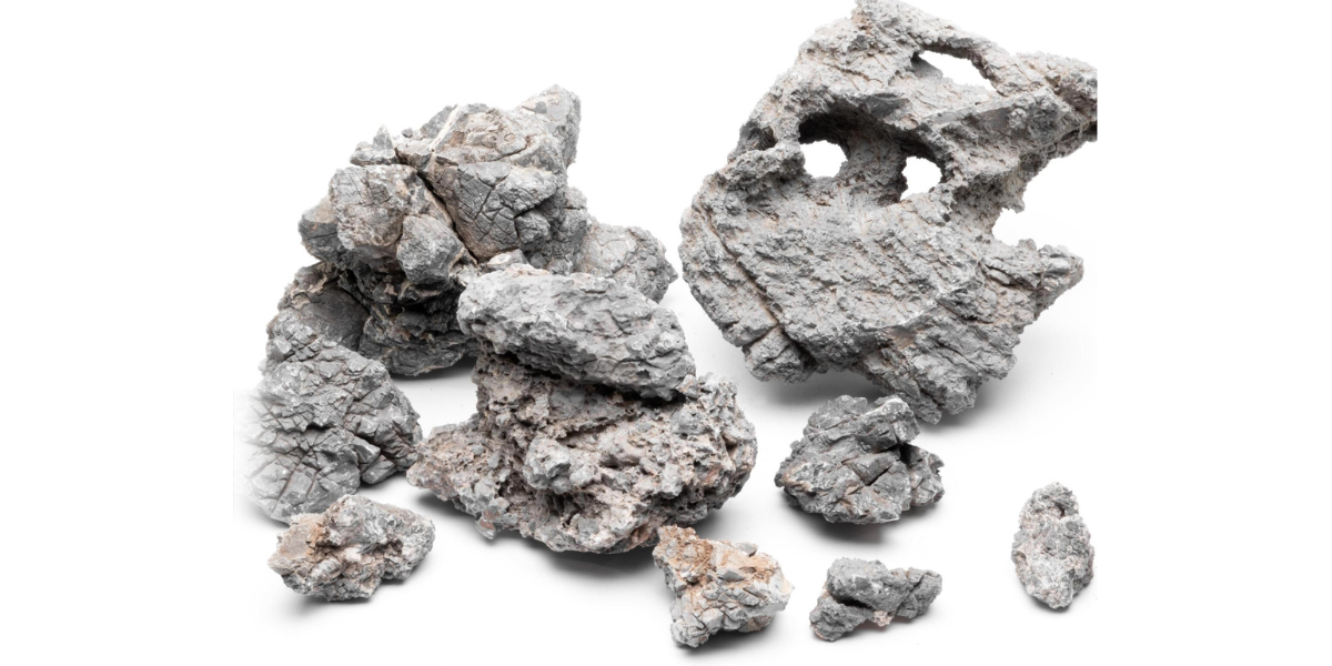 Wolf Stone Natural Aquarium Hardscape - Buce Plant