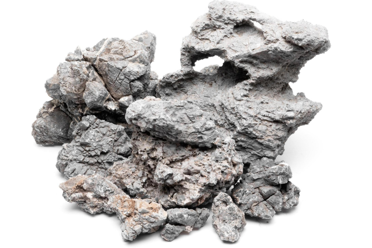 Wolf Stone Aquarium Hardscape — Buce Plant