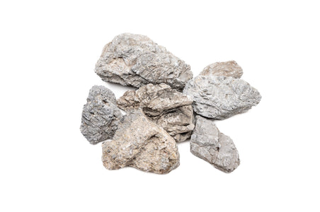 Wolf Stone Aquarium Hardscape — Buce Plant