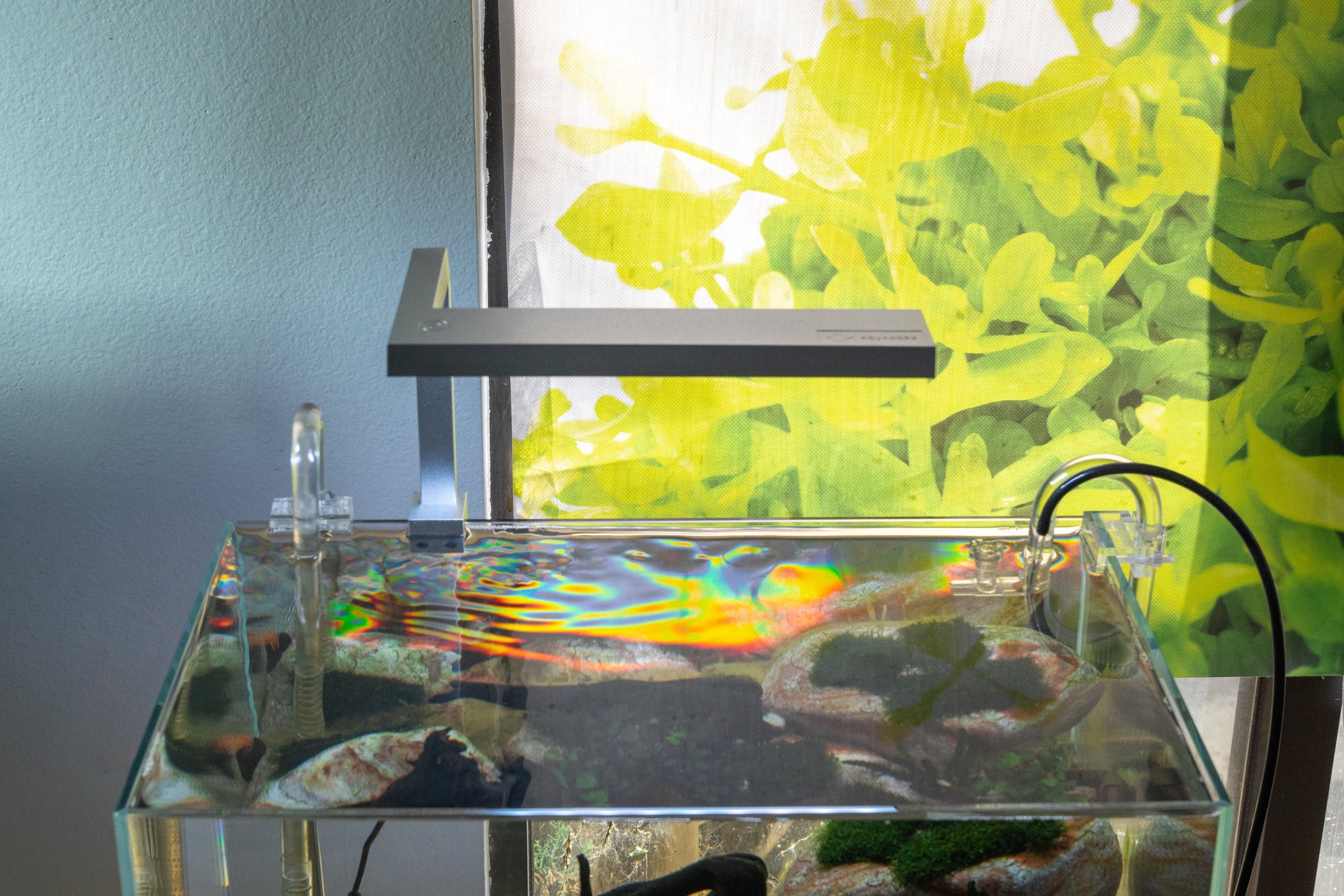 Aqua Worx Orion Nano LED Light — Buce Plant